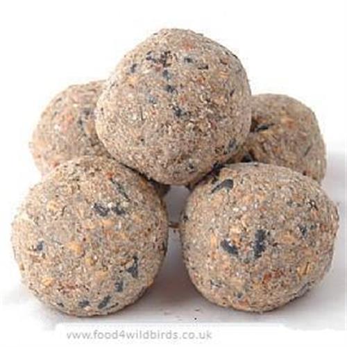 Shop | Food 4 Wild Birds